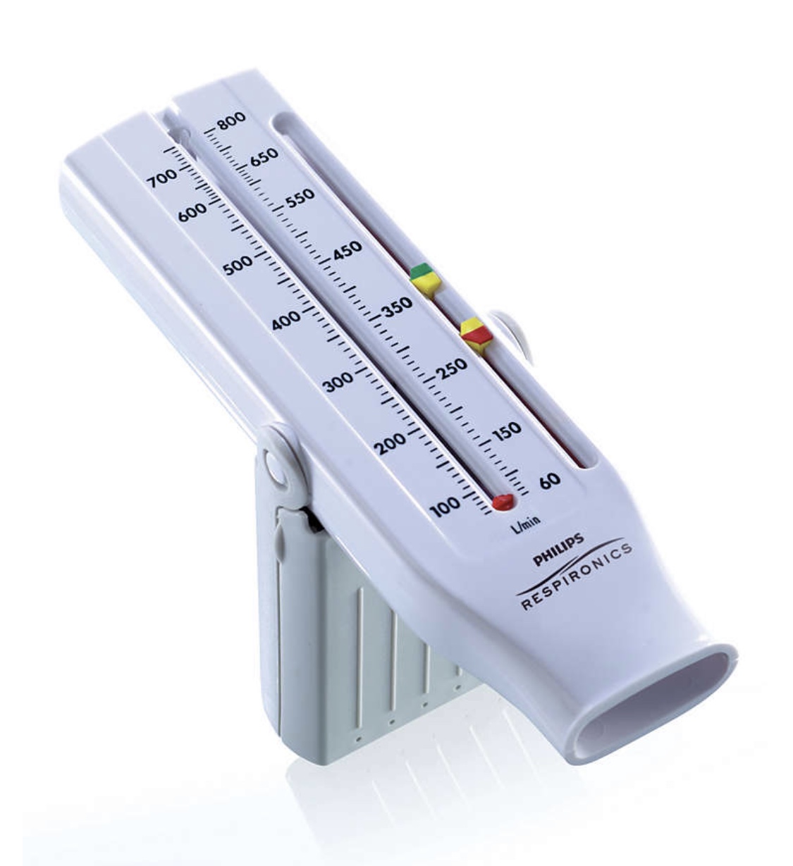 Essentials for Good Asthma Management – ANONYMOUS-ASTHMA